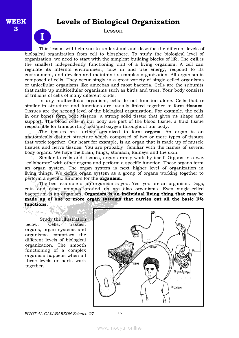 Grade 7 Science Quarter 2 Module 4 Answer Key Mobile Legends
